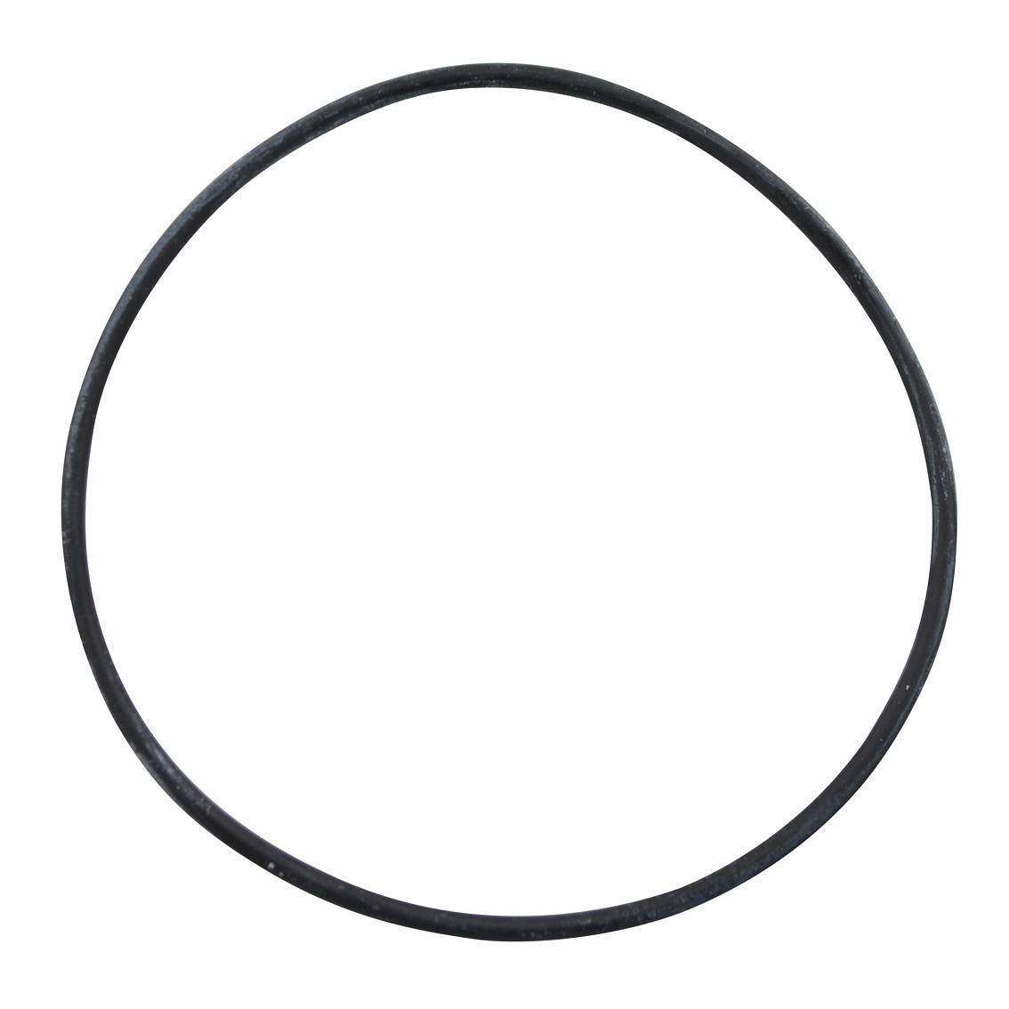 Poolrite CL Series Cartridge Filter Lid O'Ring – Dad's Pool Shop